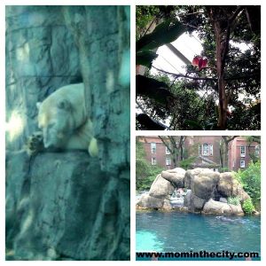 7 New York City Scavenger Hunts - Scavenger Hunt Ideas